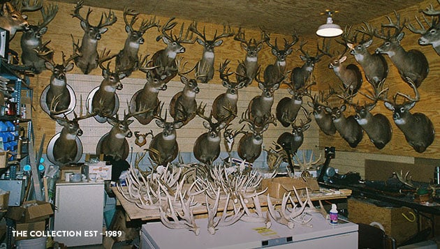 Legendary Whitetails Wallpaper